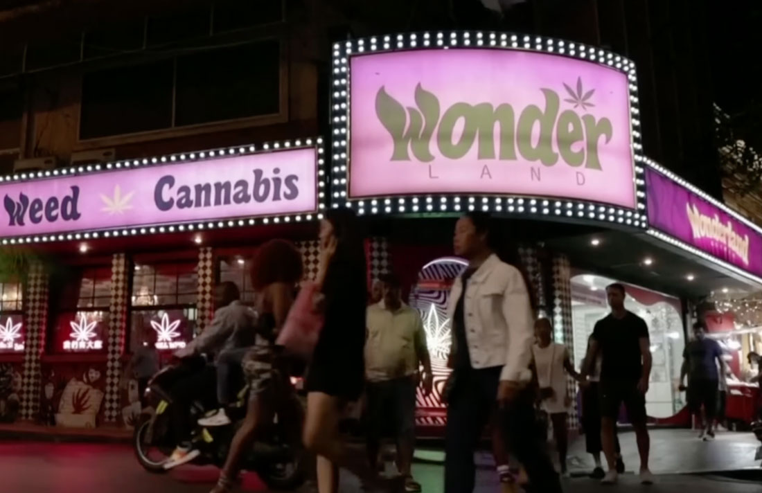 How Thailand's Lucrative Cannabis Industry is Under Threat | Pot TV